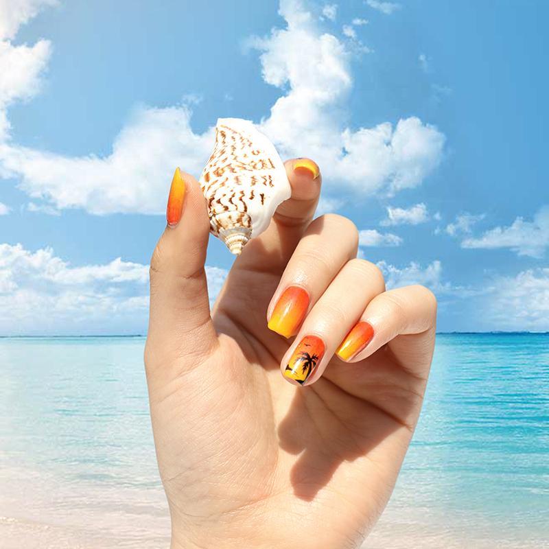 Summer Dream Colors Series | Scrolller