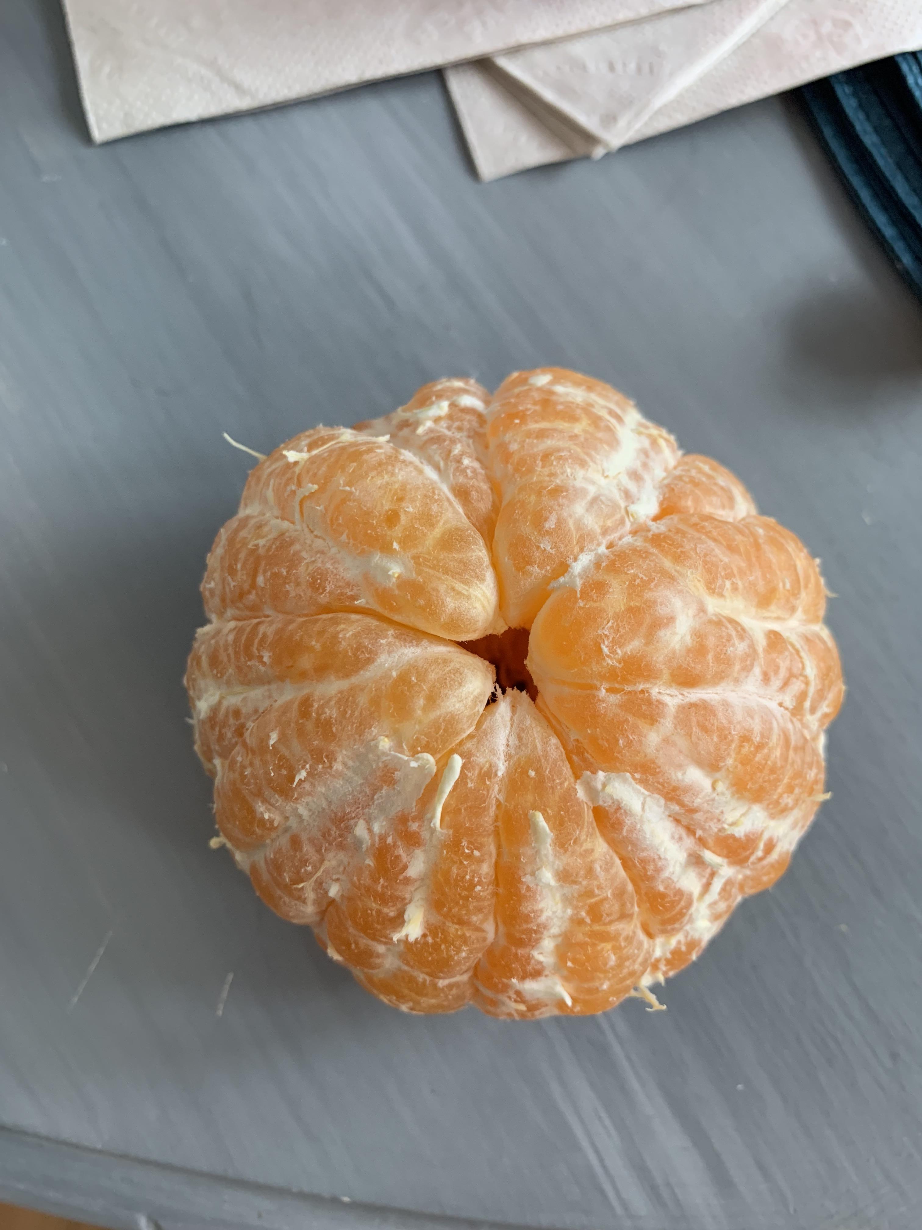 Sumo anus | Scrolller