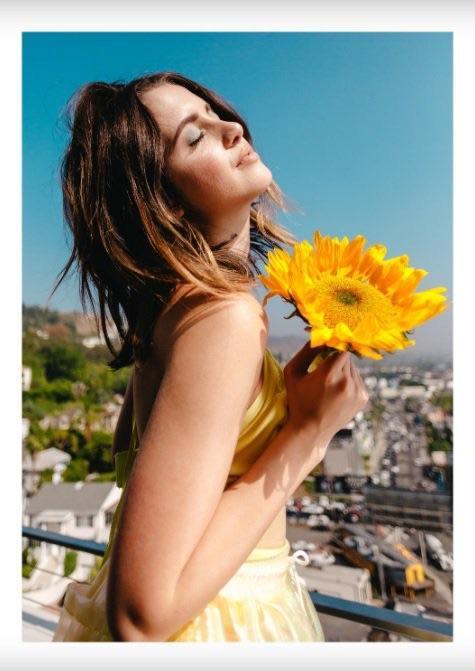 Sunflower | Scrolller