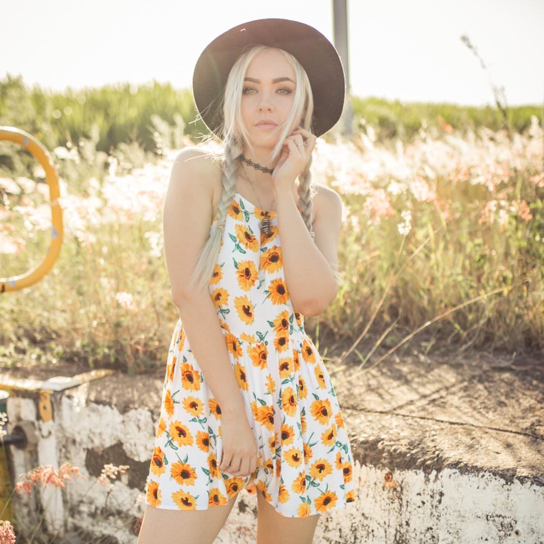 Sunflowers set preview | Scrolller