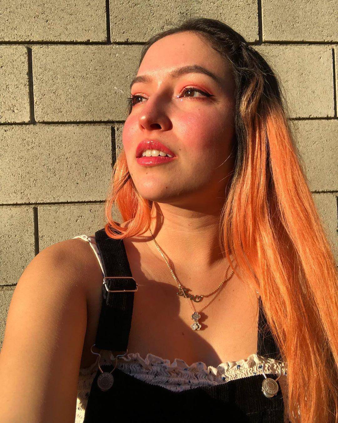 Sunlit Tori | Scrolller