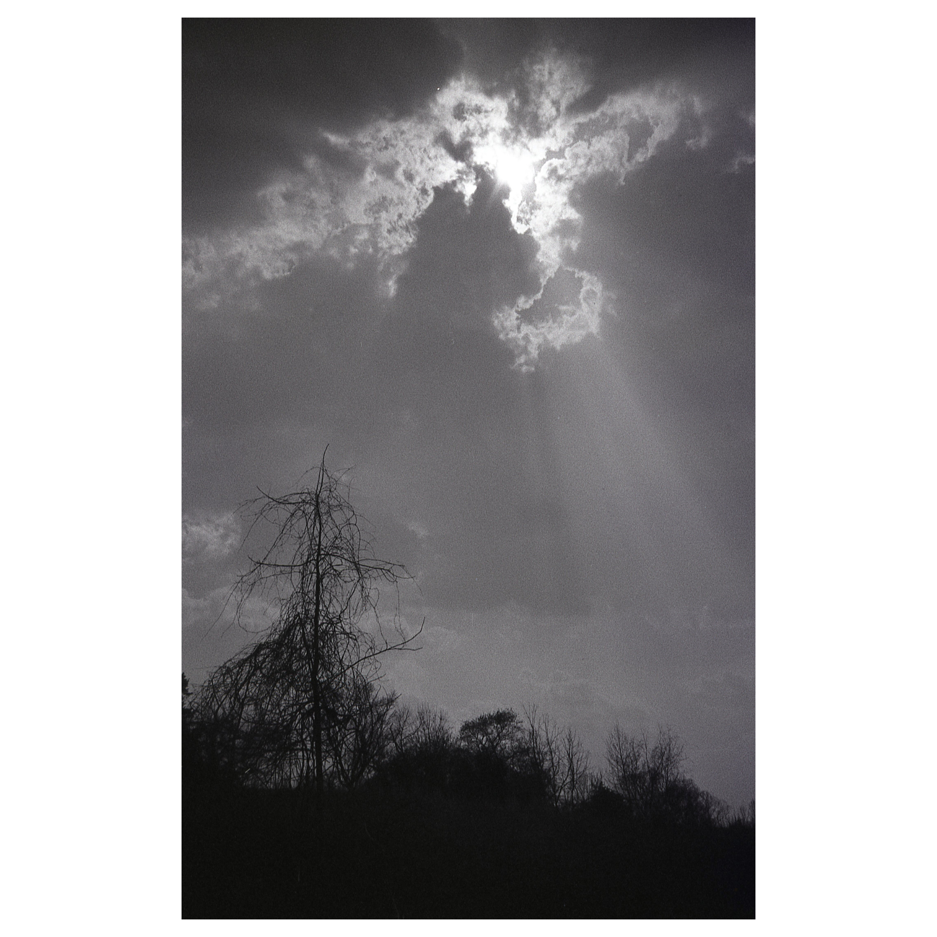 Sun's rays | Scrolller