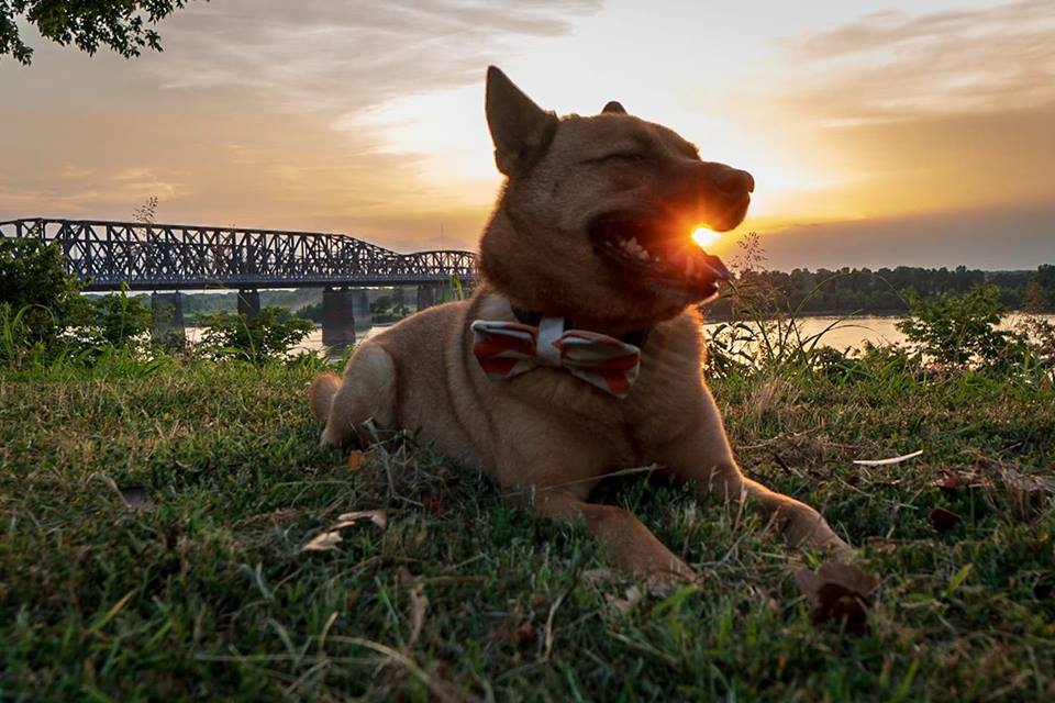 Sunset from Martyr's Park | Scrolller