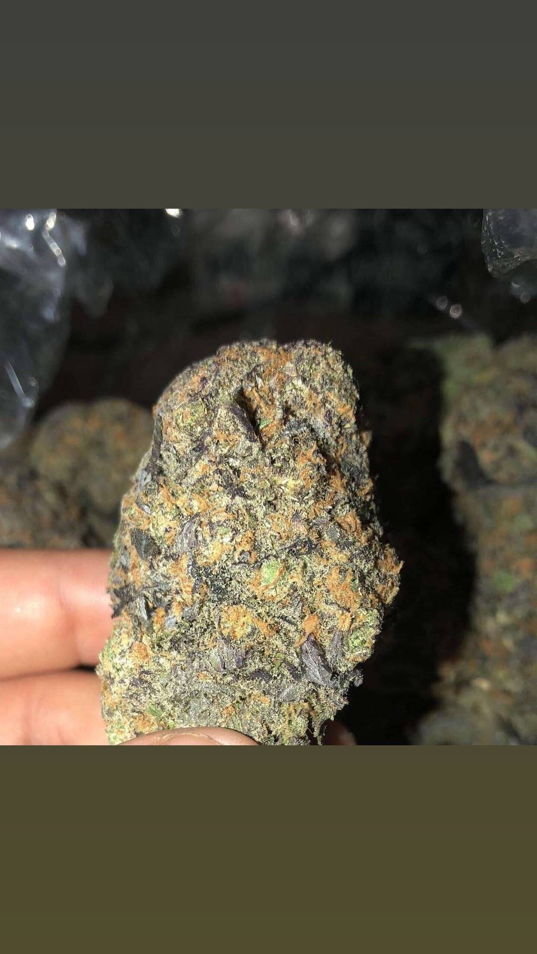 Sunset octane . | Scrolller