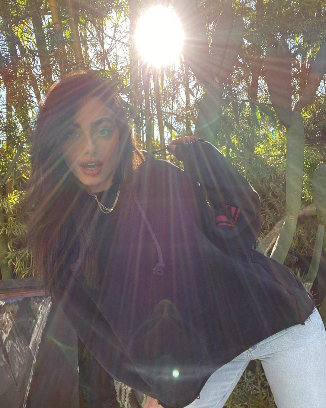 Sunshine | Scrolller