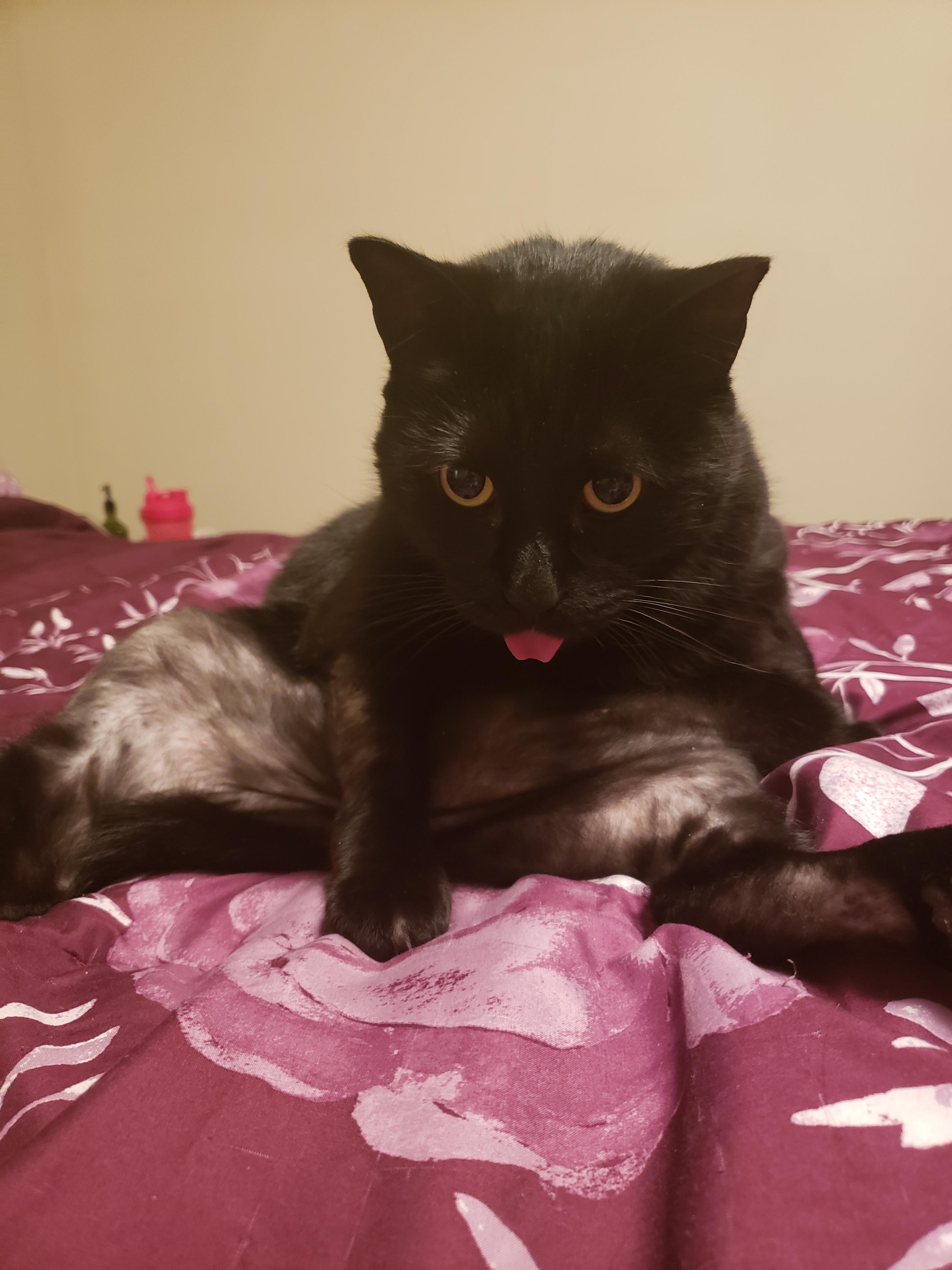 Sup ladies??? | Scrolller