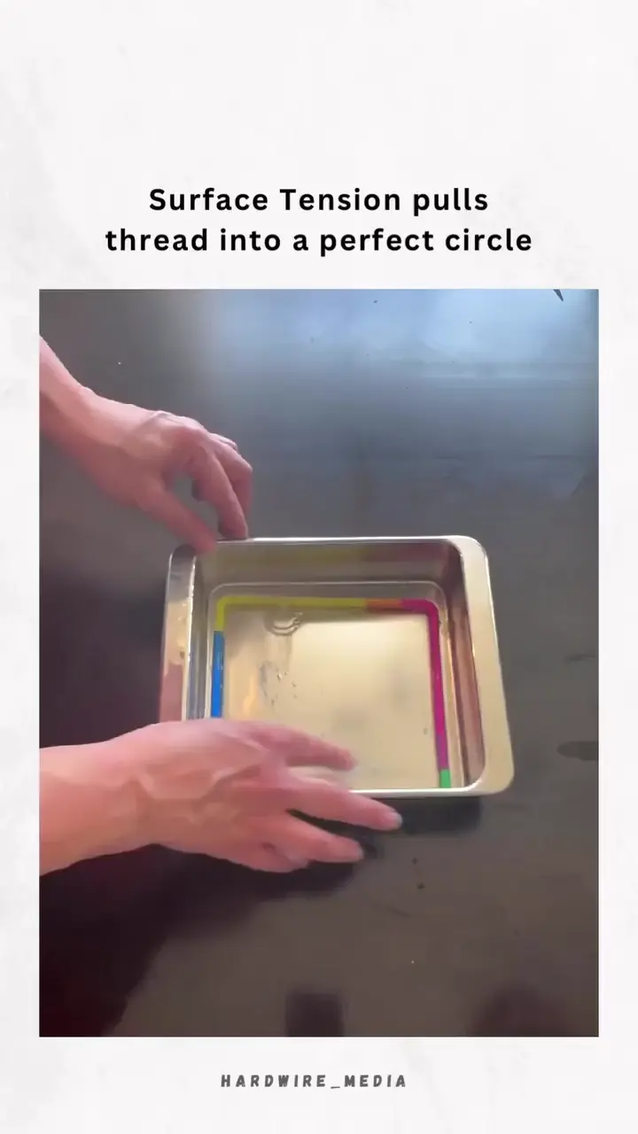 Surface tension pulls thread into perfect circle | Scrolller