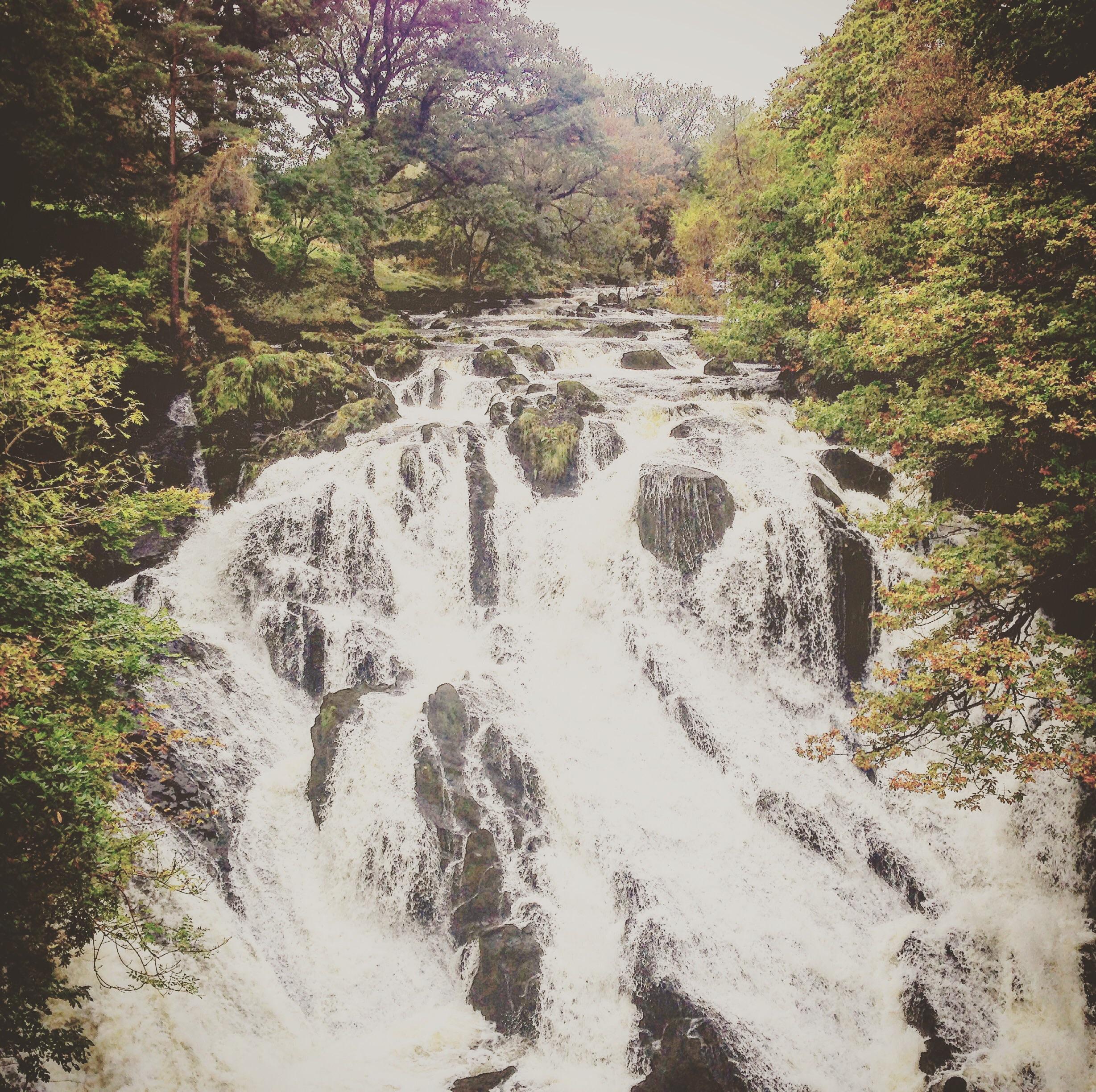Swallow Falls, Betws-y-coed, Wales #beautiful | Scrolller