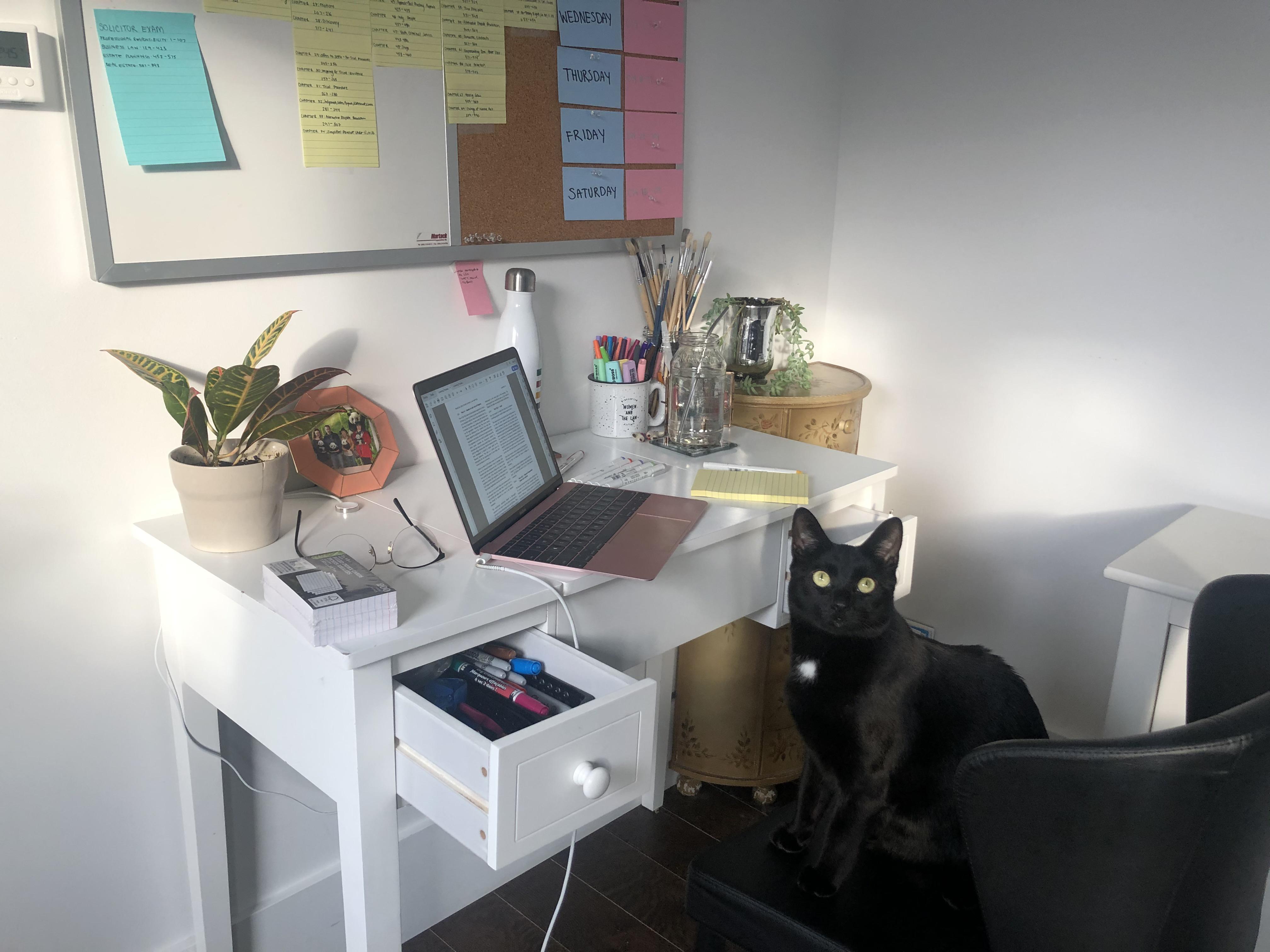 T- 30 days till full world domination | Scrolller