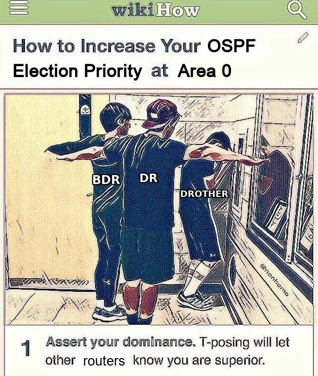 T-Posing is the new OSPF priority value | Scrolller