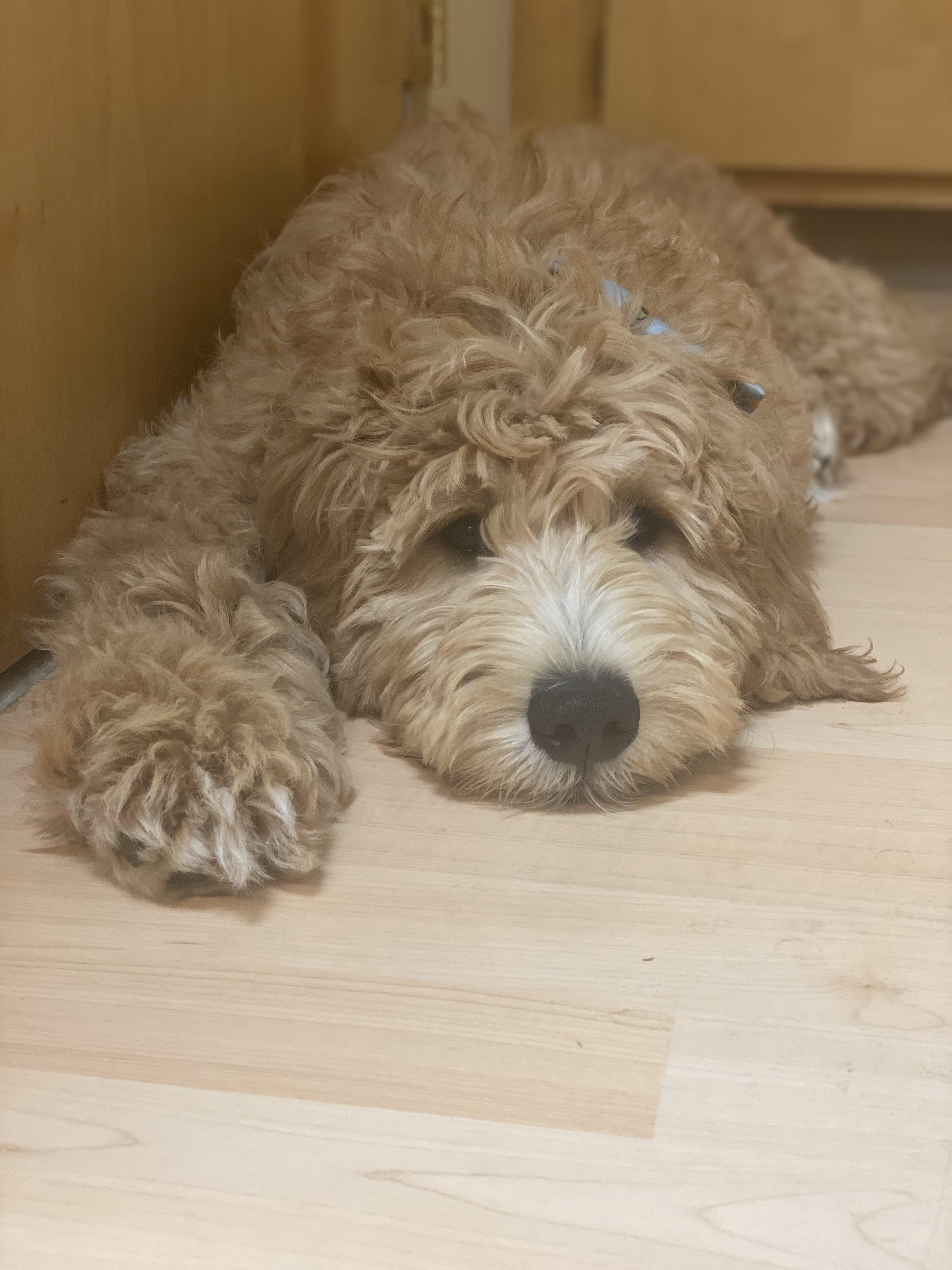 Take your kid to work day! | Scrolller