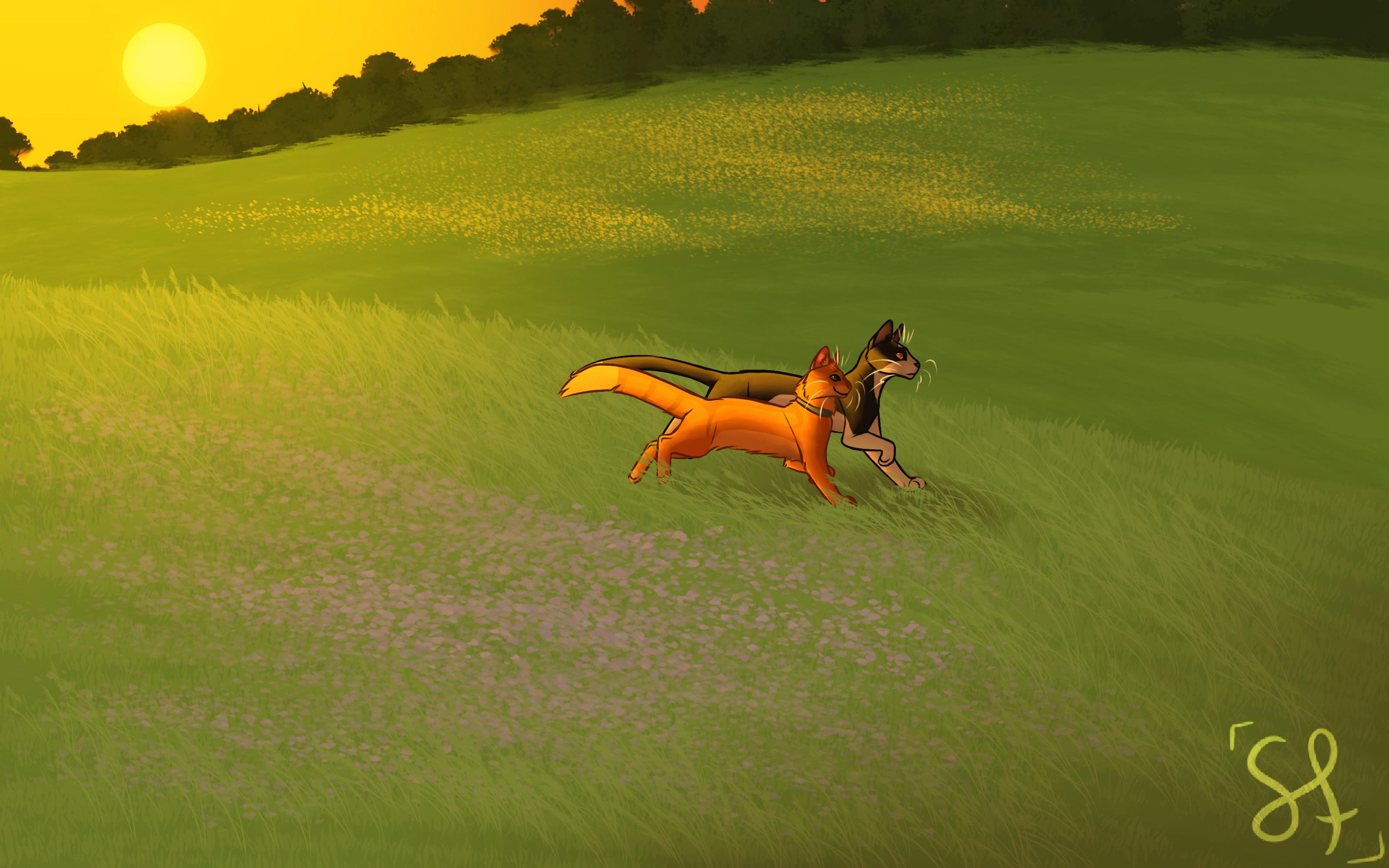 Tall Star and Jake | Scrolller