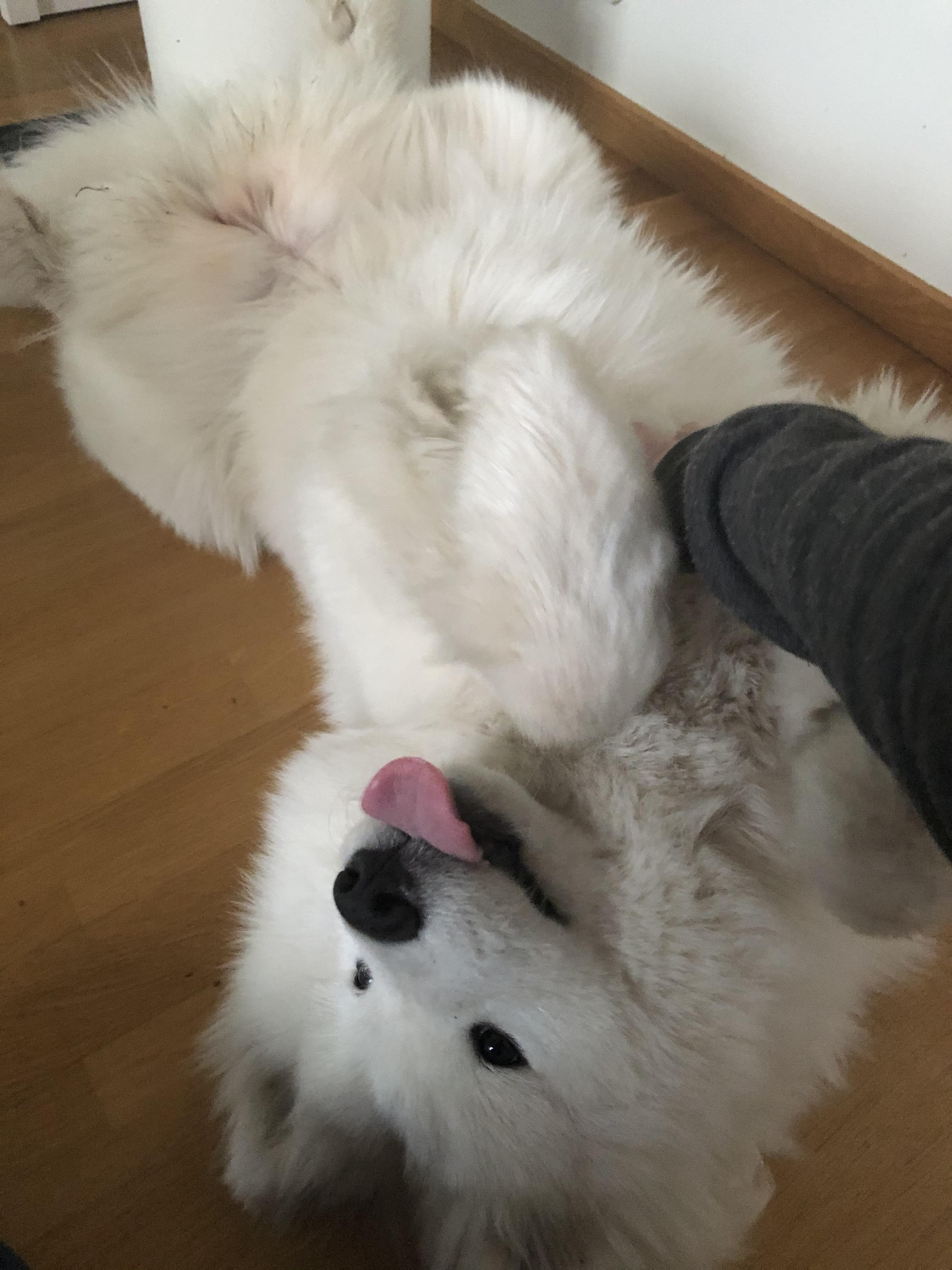 Tanja’s first blop! | Scrolller