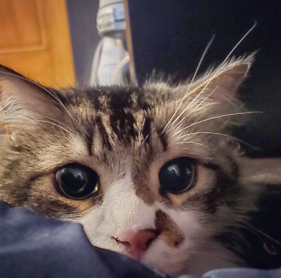 Target acquired | Scrolller