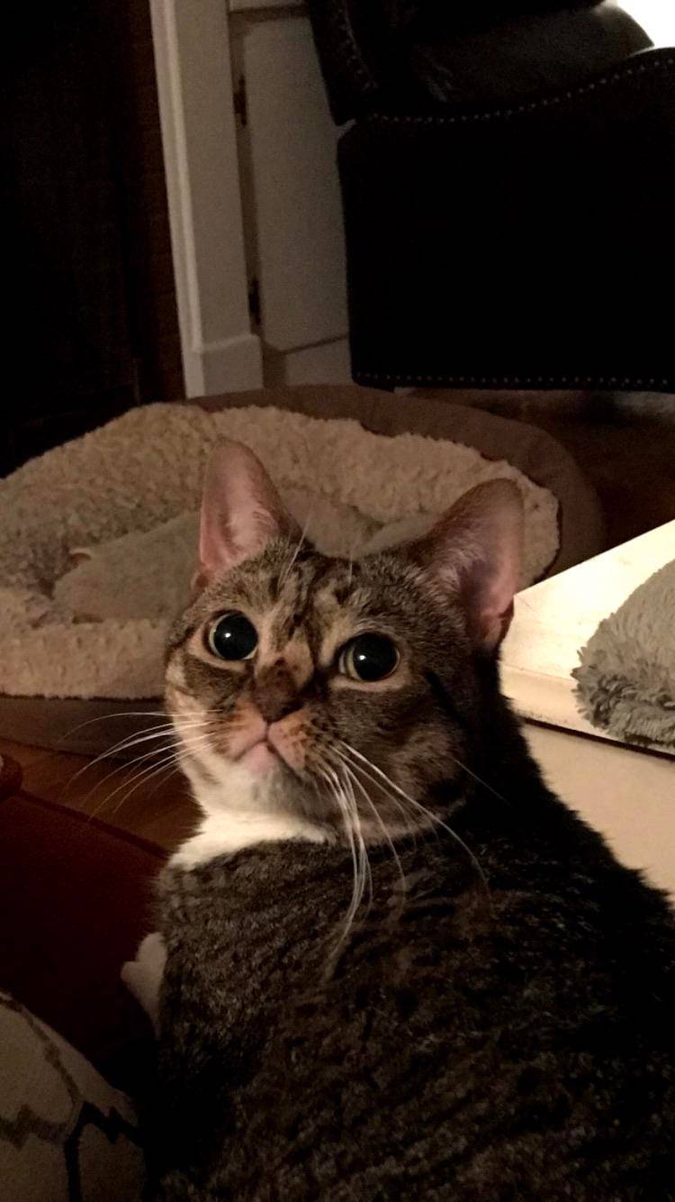 Target acquired | Scrolller