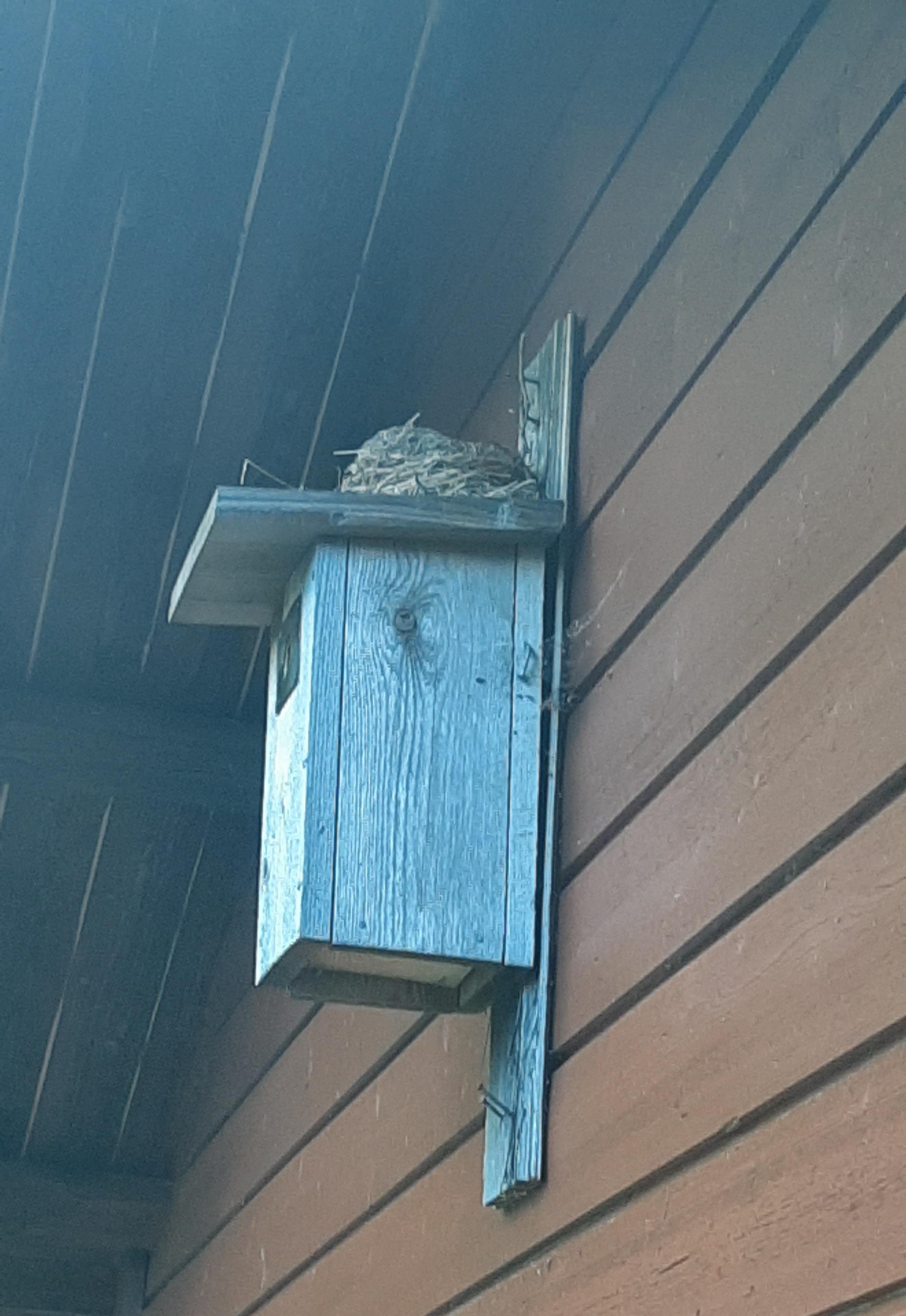 Task failed successfully | Scrolller