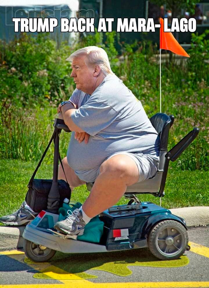 Team MAGA! | Scrolller