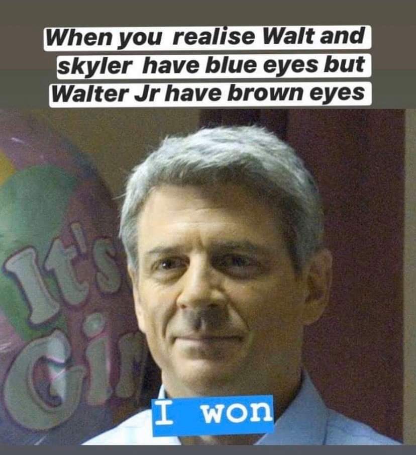 Ted finally won something 🤣 | Scrolller