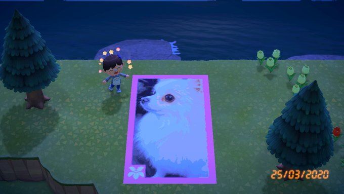 temmie in animal crossing | Scrolller