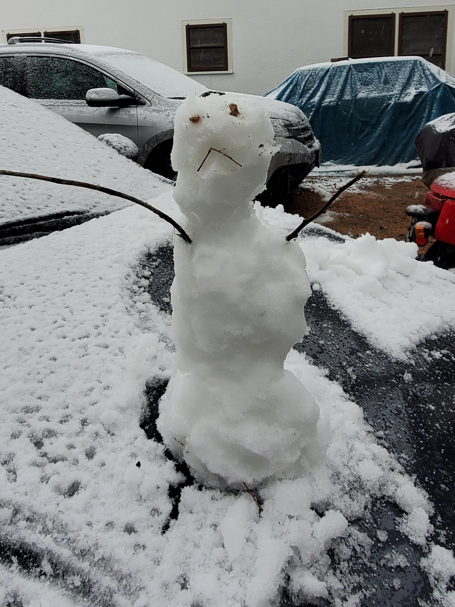 Texas snowman! | Scrolller