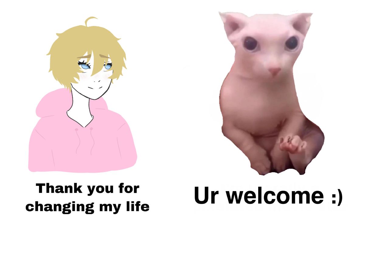 thank you bingus 💕 | Scrolller