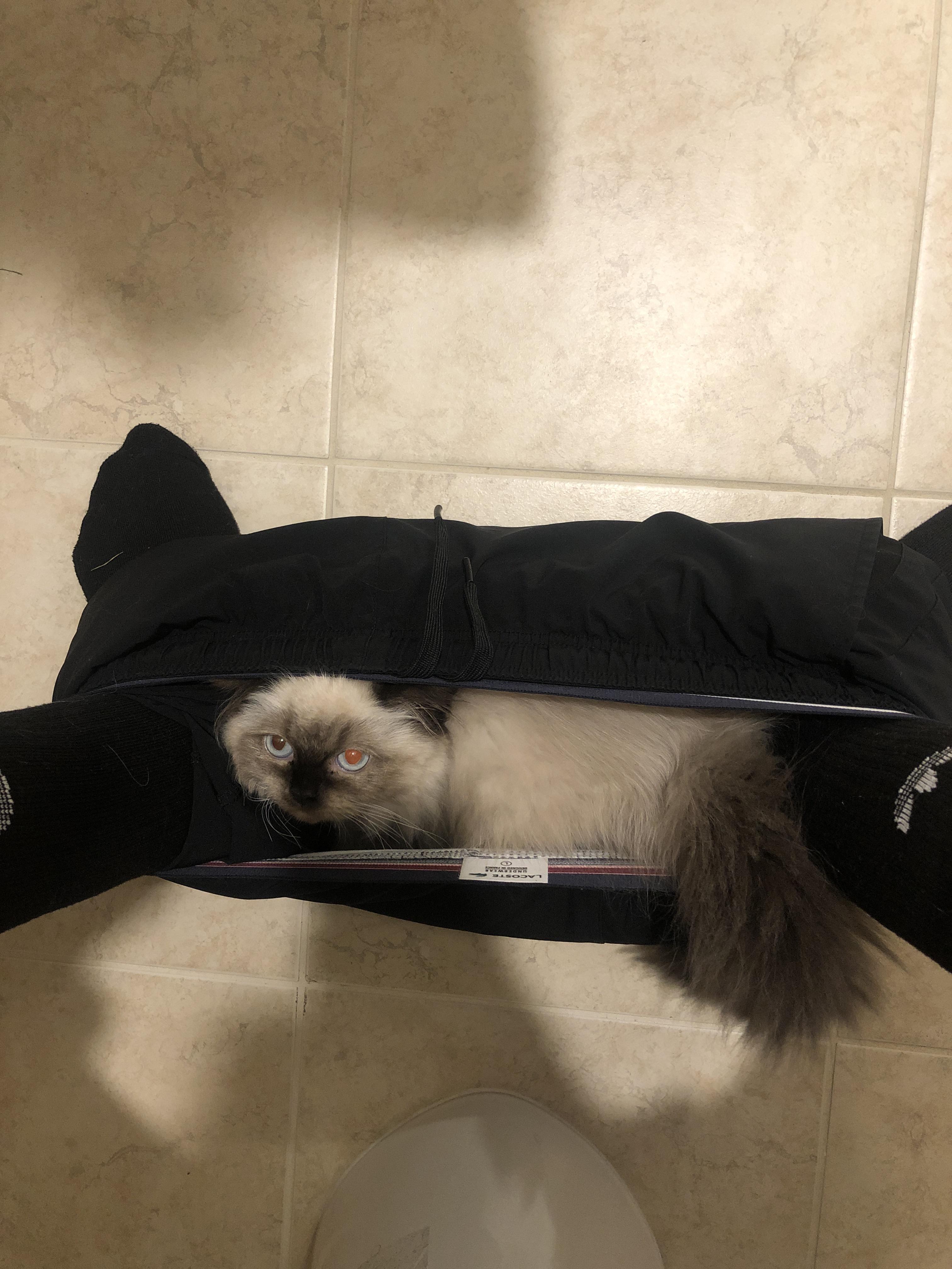 Thanks for the new bed, dad. | Scrolller