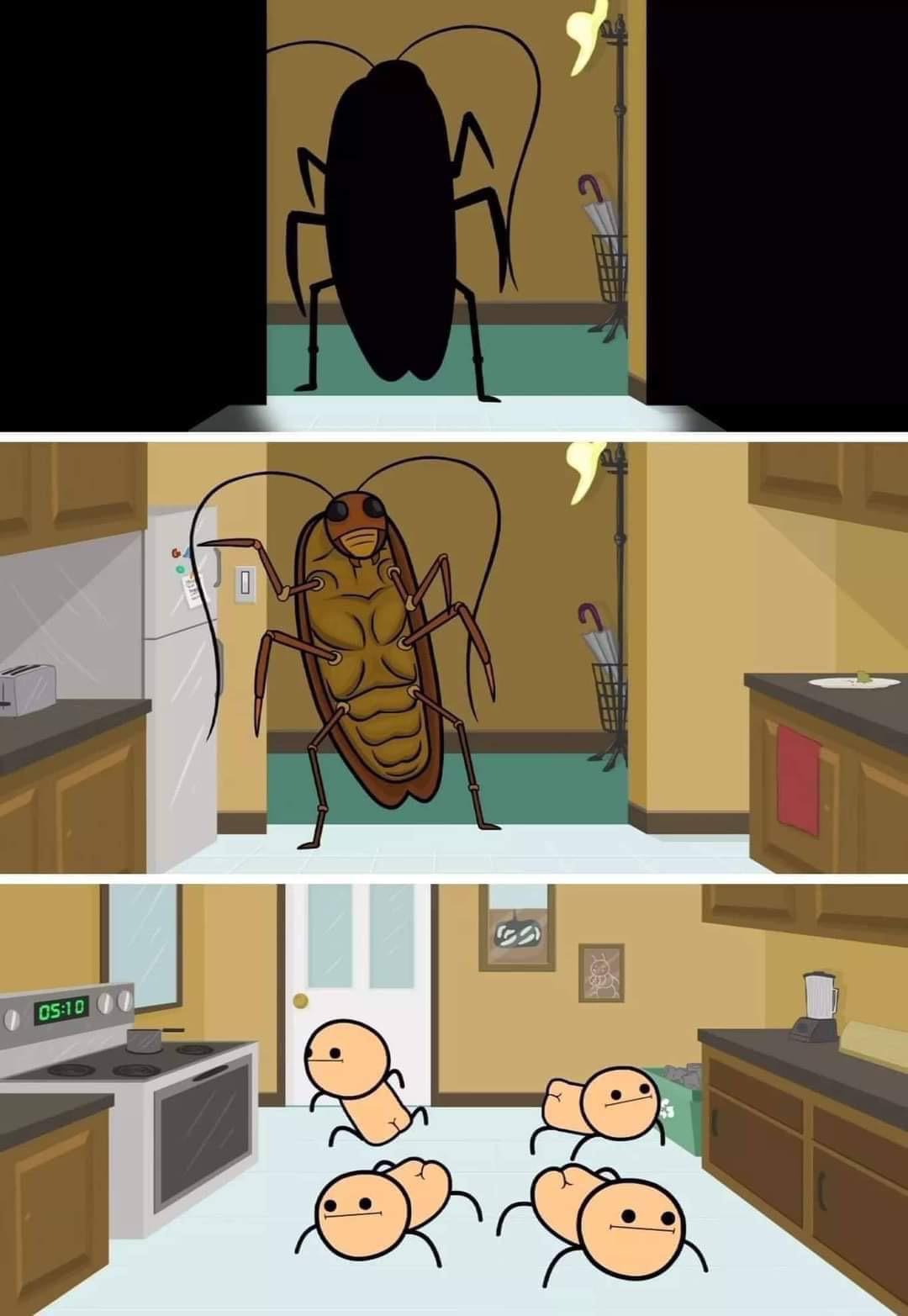 Thanks, i hate human cockroaches | Scrolller