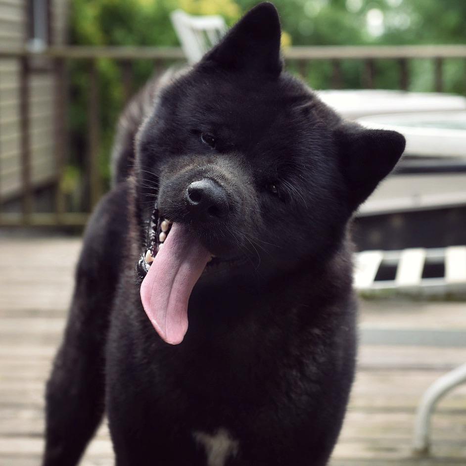 that head tilt 🤪 | Scrolller