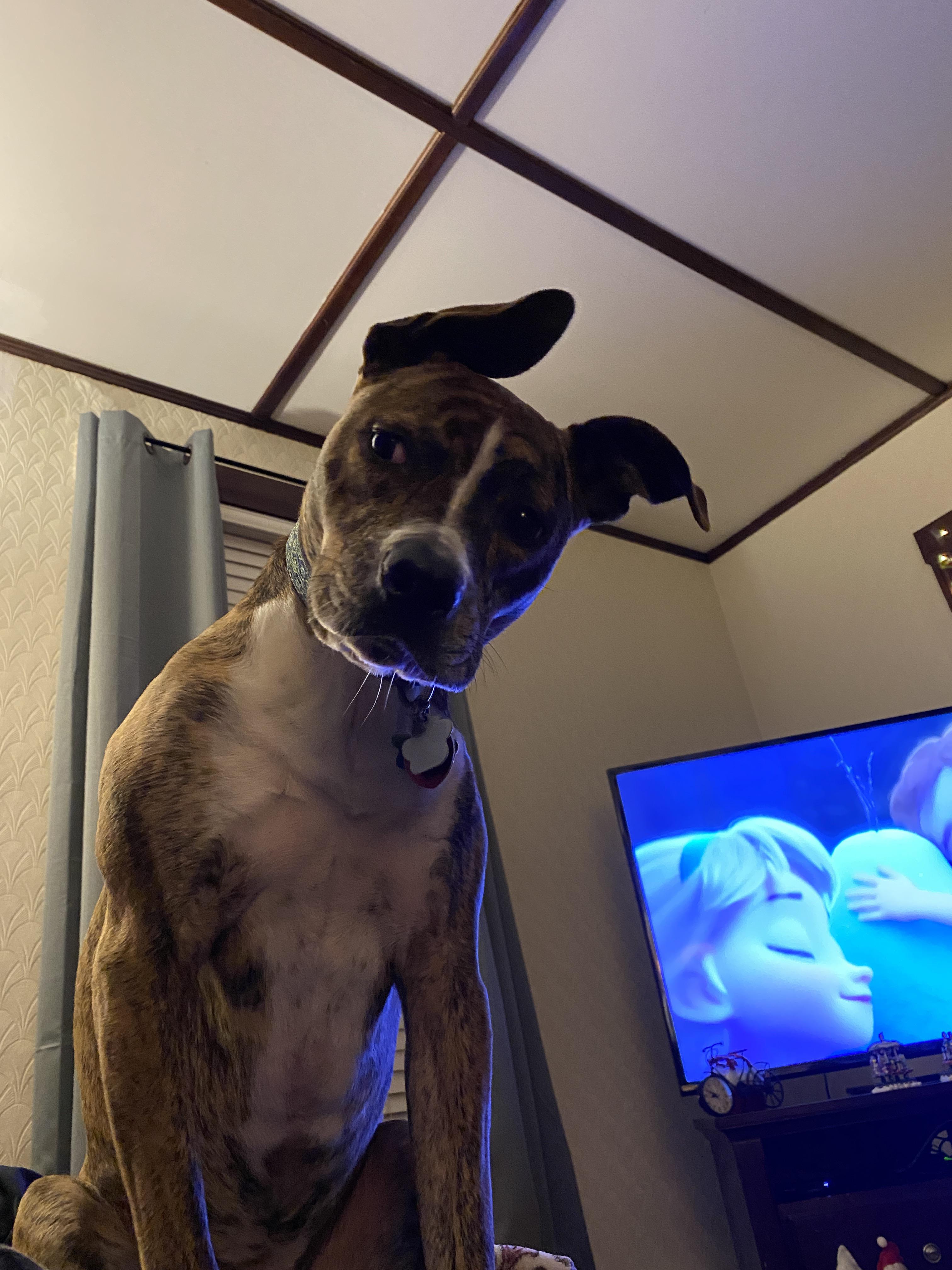 That look when you won’t give her back the ball... | Scrolller