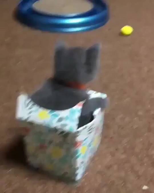 that was unexpected | Scrolller