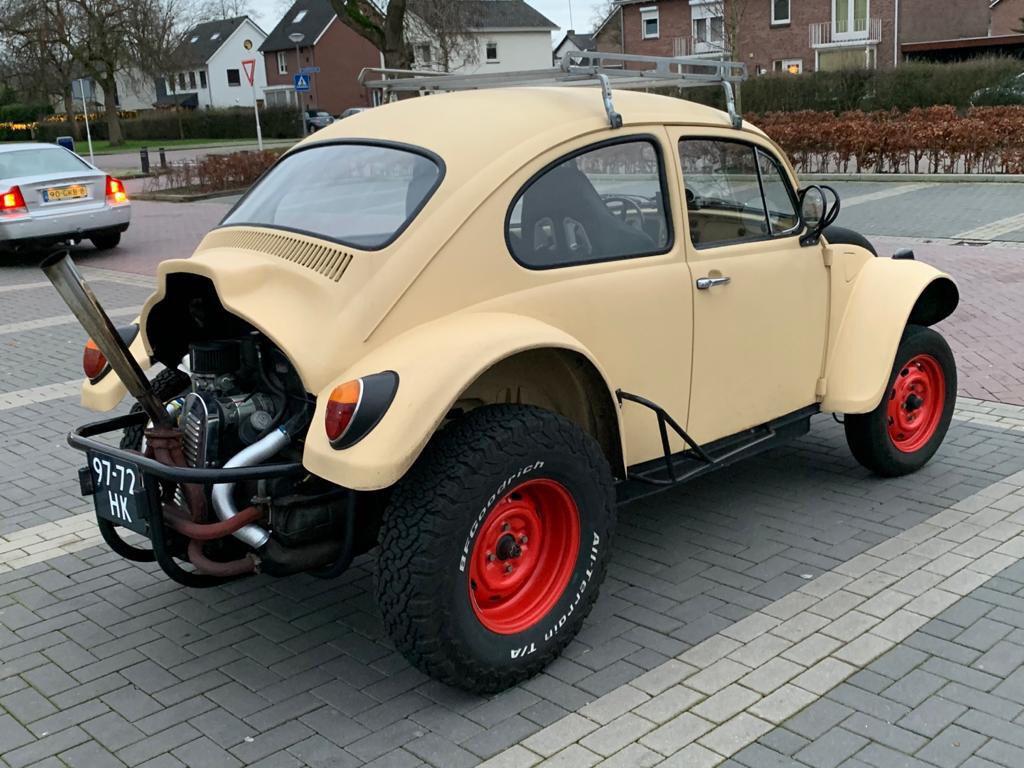 That's a nice beetle | Scrolller