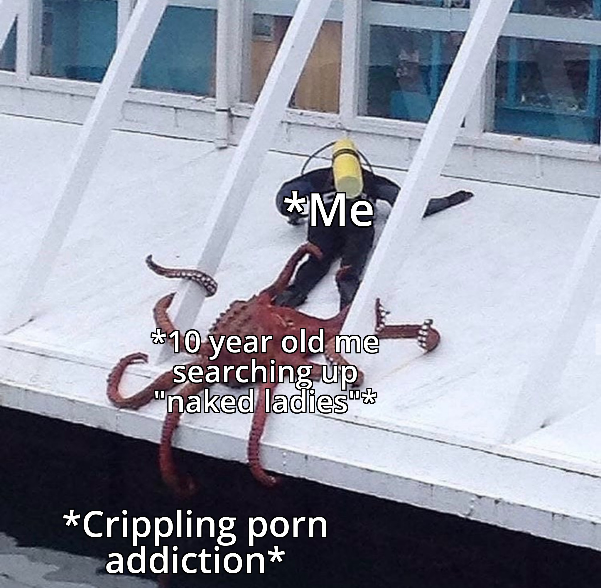 That's how it began. | Scrolller