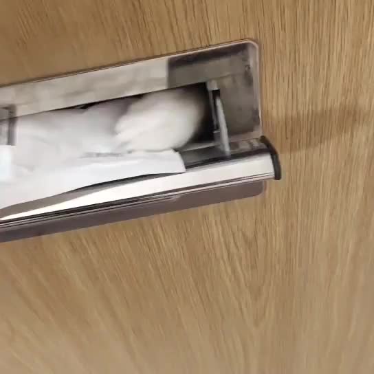 That's how they get mail. | Scrolller