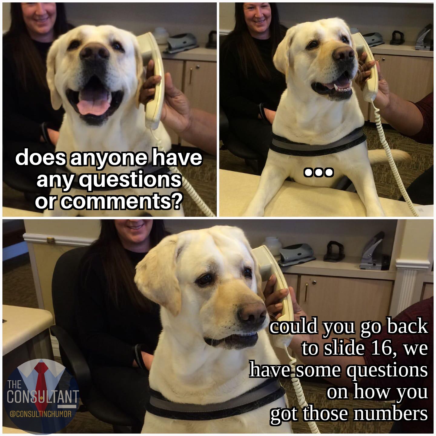 That's ruff, buddy | Scrolller