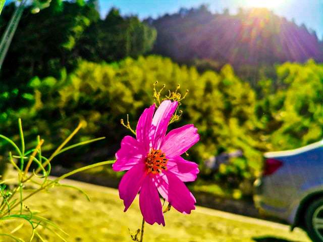 The Beautiful Nature wallpaper click by me [1920x1080] | Scrolller