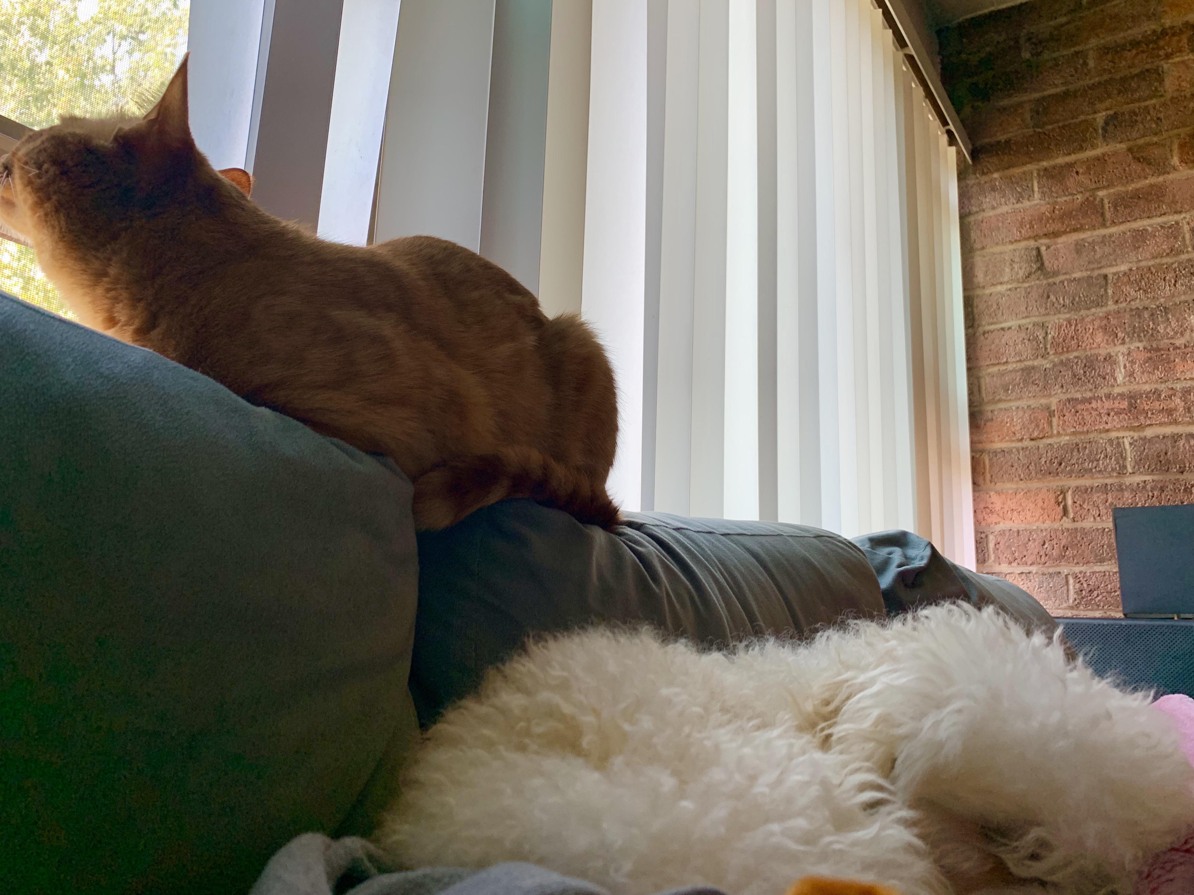 The best pals and I, cozy as ever | Scrolller