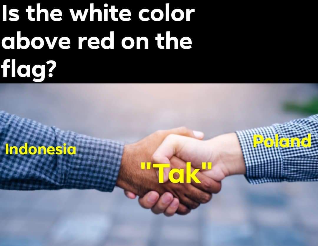 The best way to answer yes/no questions | Scrolller