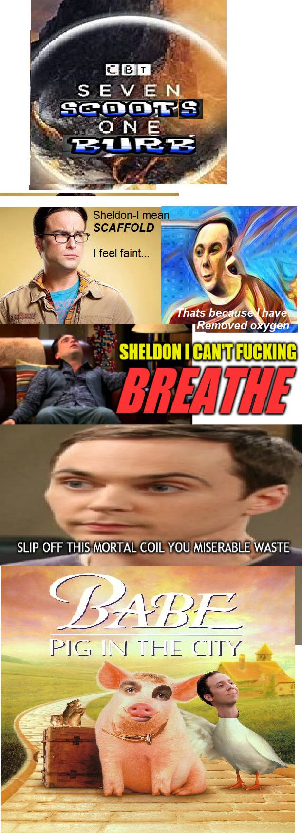 The big theory of some kind I forget the title | Scrolller