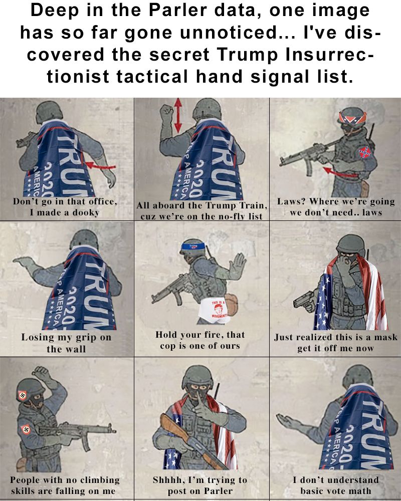 The Capitol Insurrectionist's guide to tactical hand signals | Scrolller