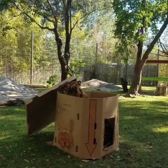 The cat trap is working | Scrolller