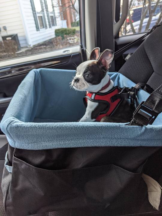 The CO PILOT | Scrolller