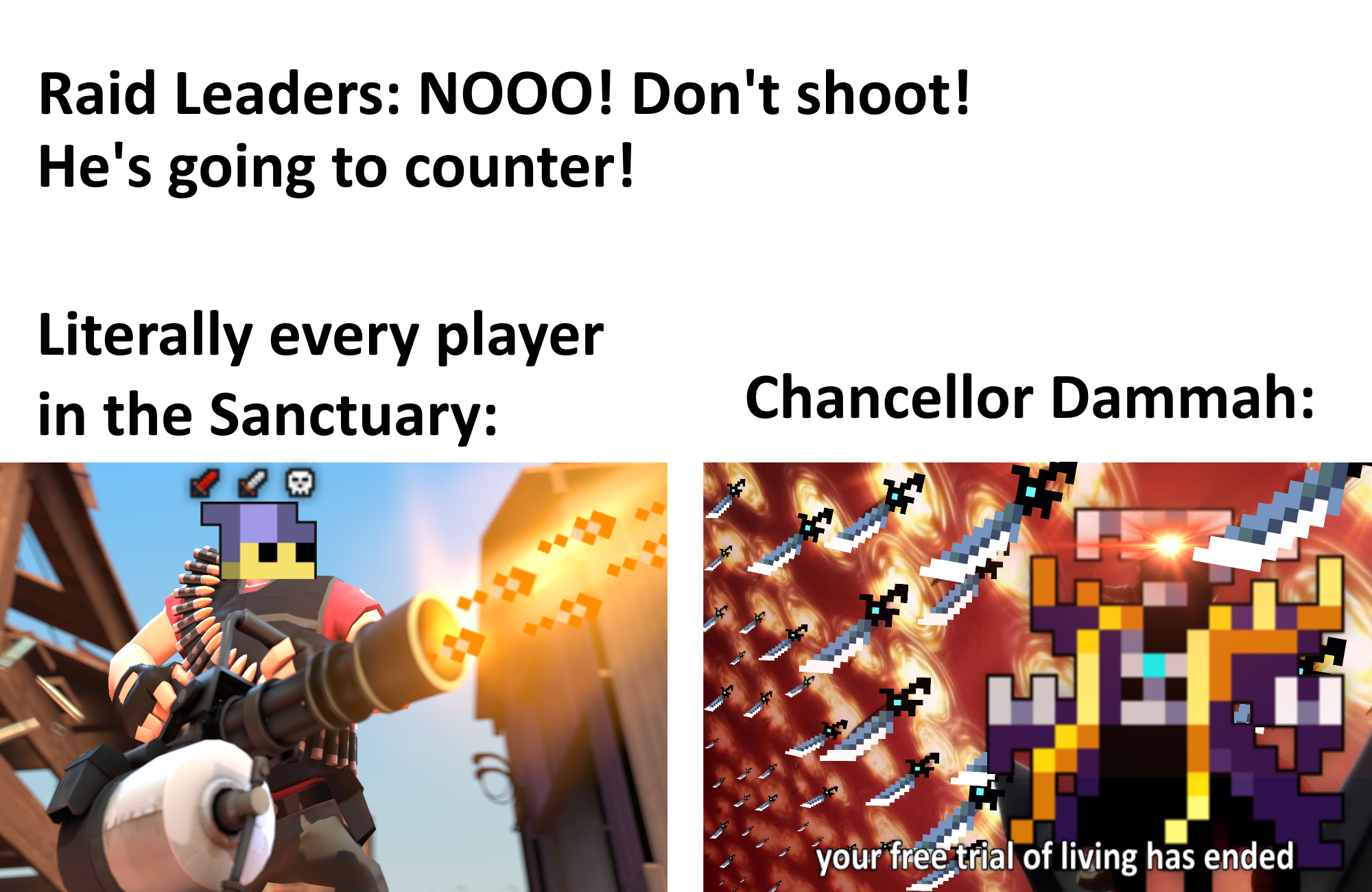 The Dammah Experience™ | Scrolller