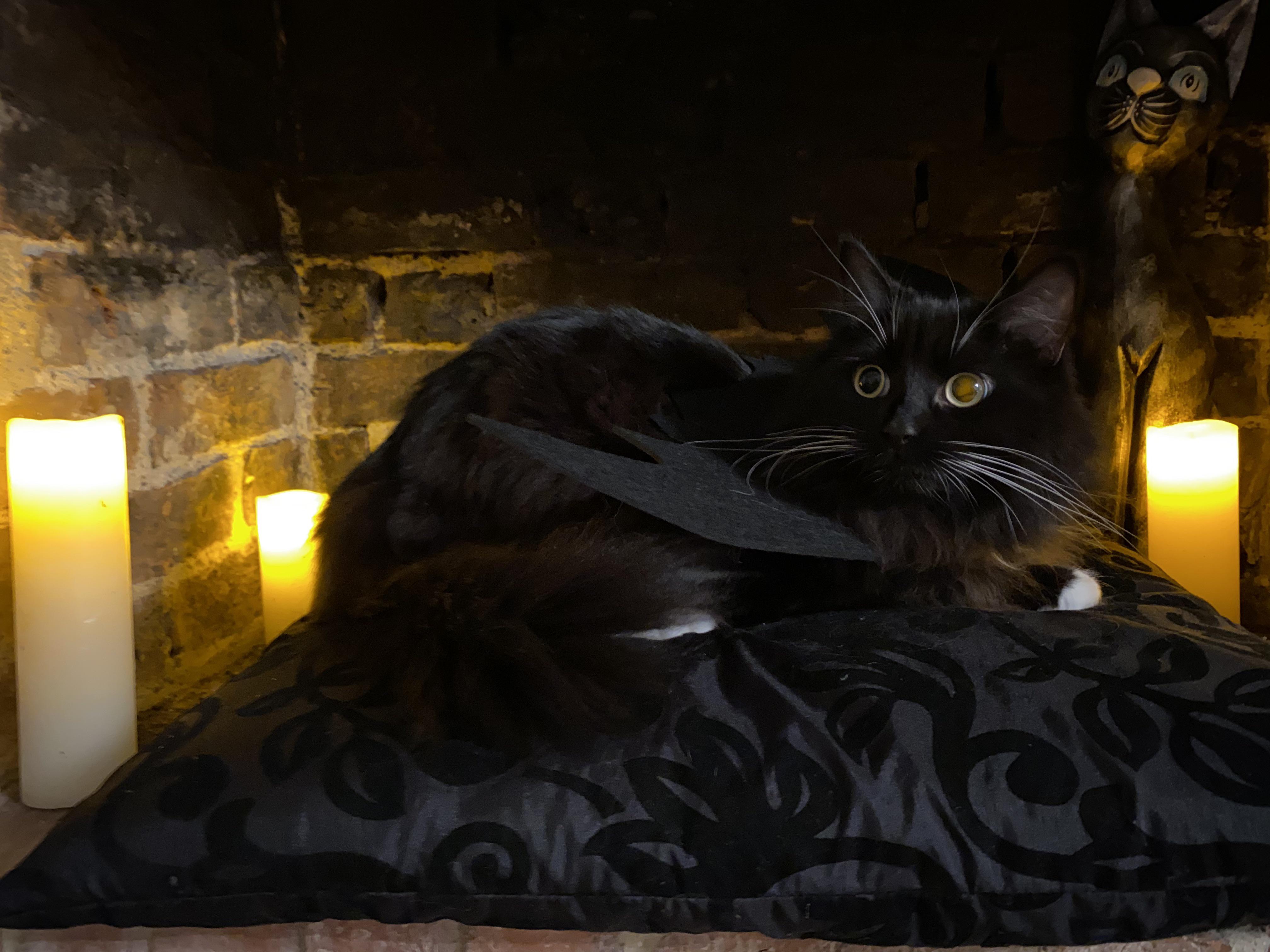 The Dark Queen in her humble abode | Scrolller