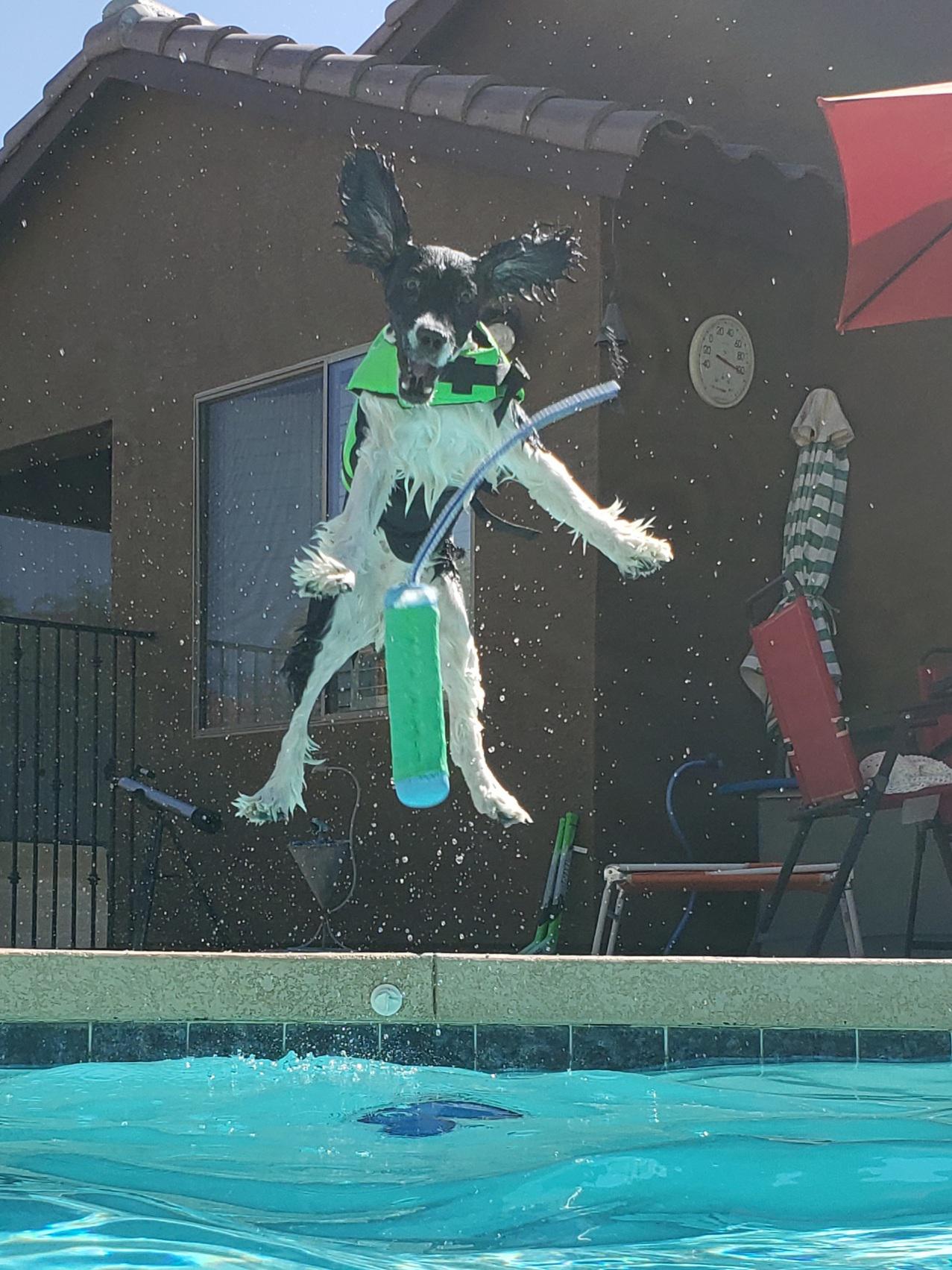 The derpiest derp | Scrolller