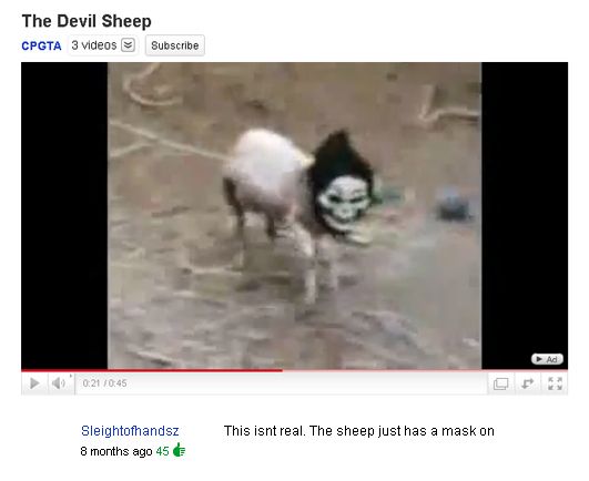 The Devil Sheep | Scrolller