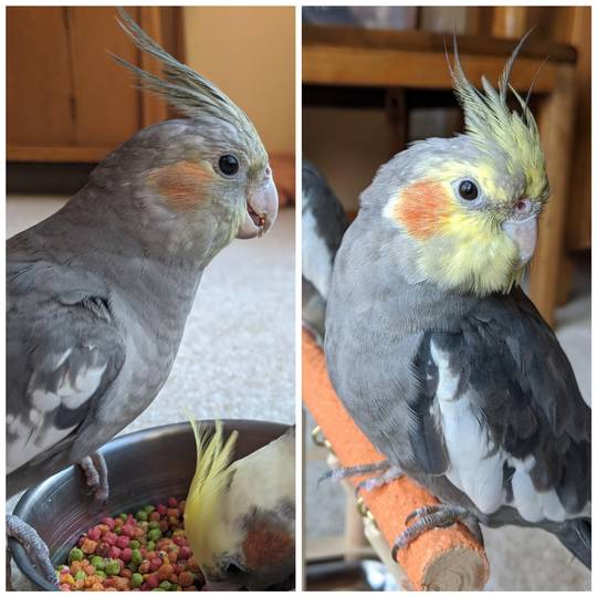 The difference one month makes! | Scrolller