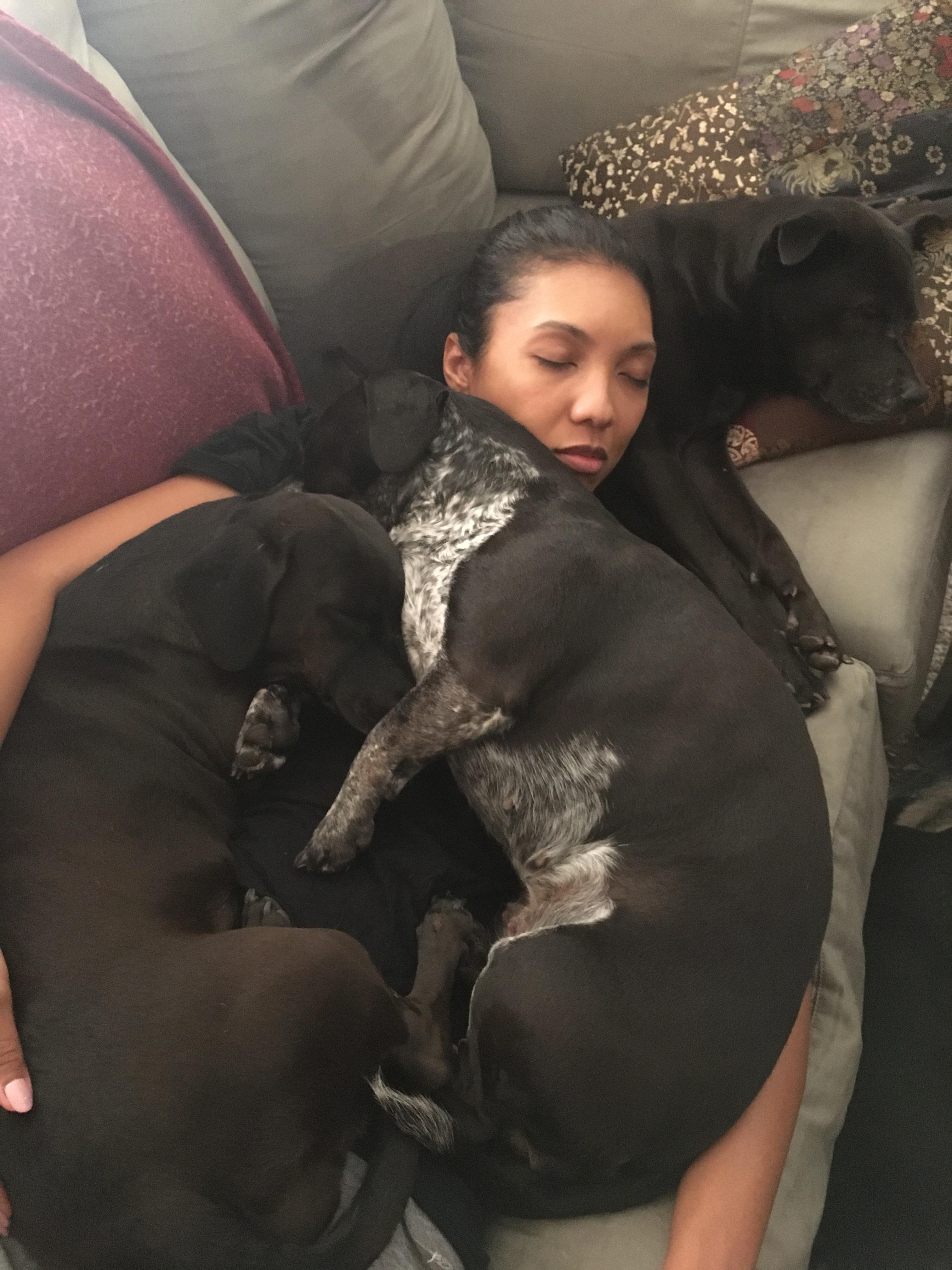 This is my favorite cuddle puddle. | Scrolller