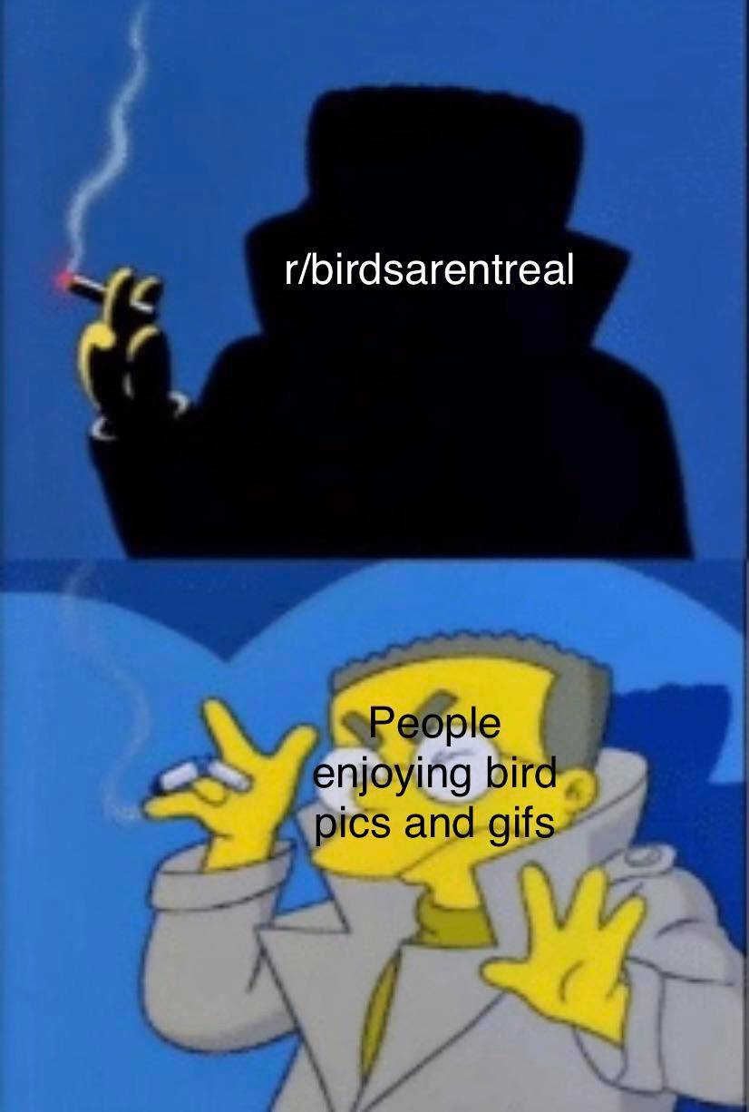 The drones do be cute tho | Scrolller