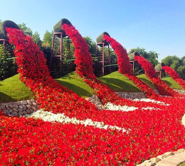 The Dubai Miracle Garden | Scrolller