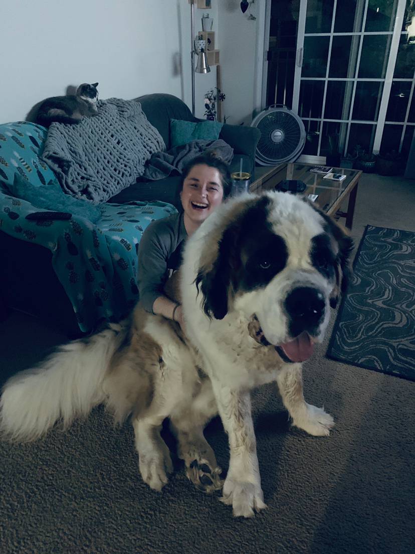 The elusive 180lb lap pupper | Scrolller